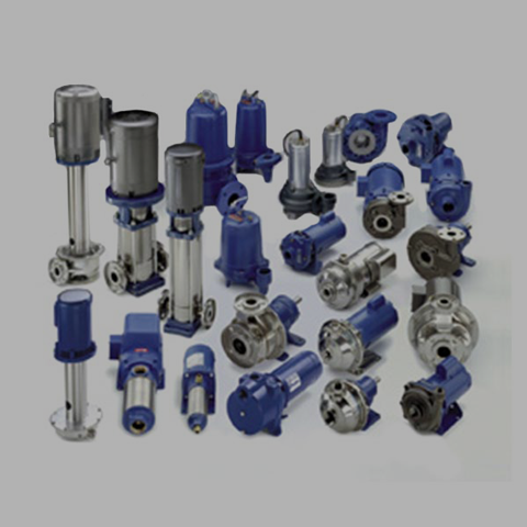 General Service Pumps - DXP Enterprises
