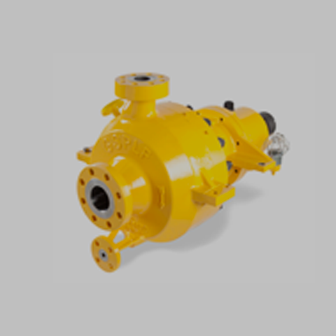 Sealless Pumps - DXP Enterprises